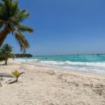 Saona Island & Chavon River Tour with Lunch & Drinks - Practical Details and Travel Considerations