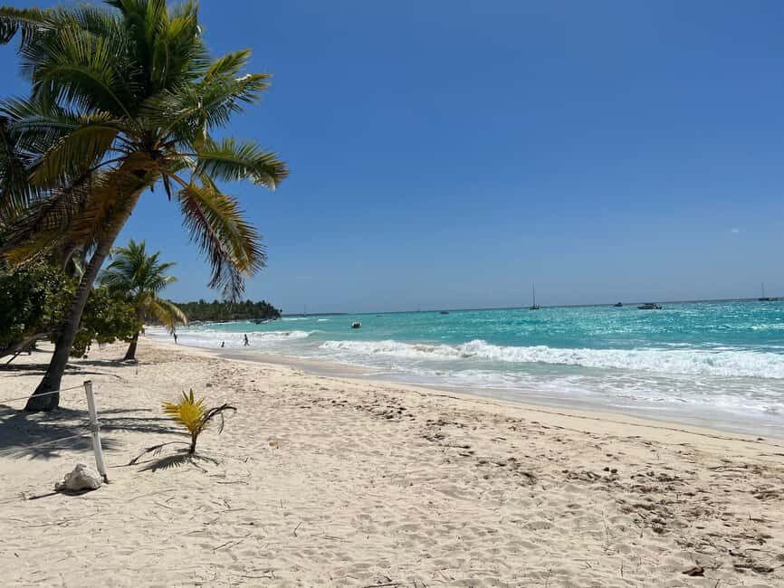 Saona Island & Chavon River Tour with Lunch & Drinks - Practical Details and Travel Considerations