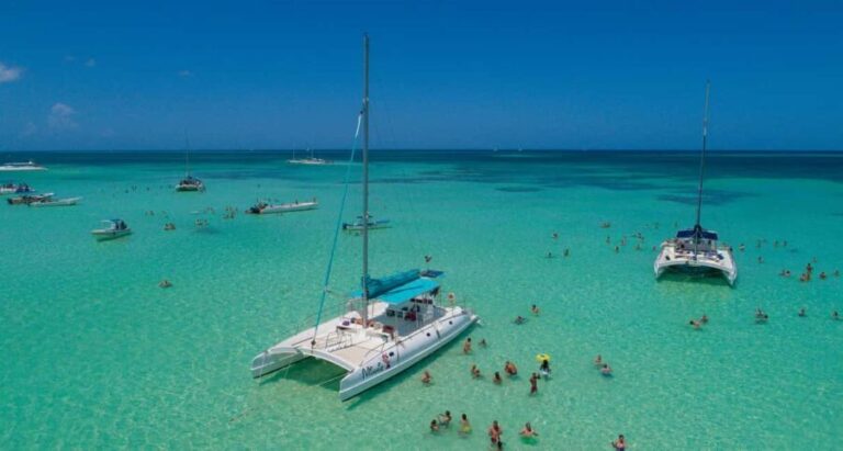 Saona Island Comfort Experience by Catamaran - The Scenic Catamaran Ride: Views and Vibes