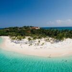 Saona Island Cruise & Private Beach - What Travelers Say: Honest Perspectives