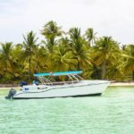 Saona Island Day Trip - The Sum Up