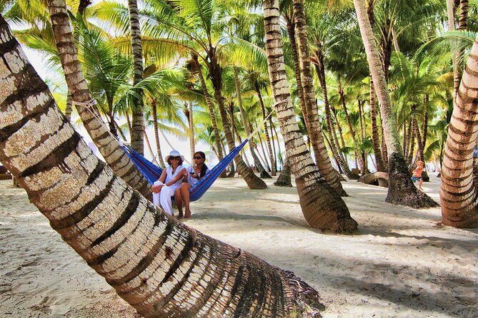 Saona Island Day Trip and Cruise from Punta Cana - Exploring the Details of the Tour