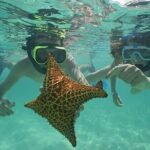 Saona Island Day Trip From Punta Cana with Lunch and Open Bar - Key Points