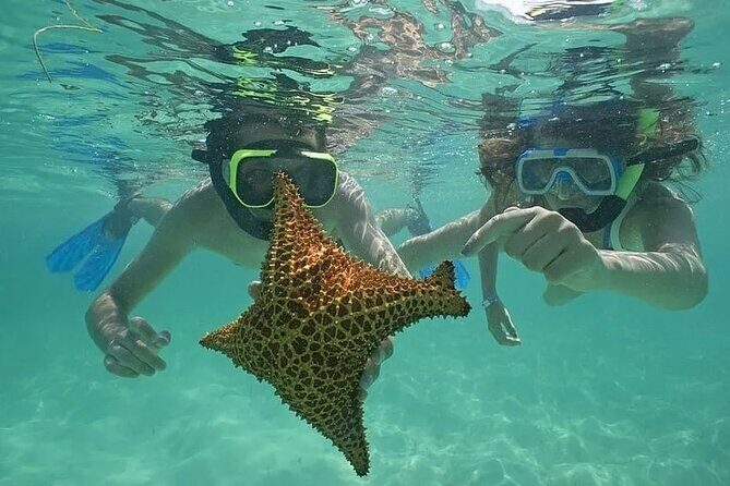 Saona Island Day Trip From Punta Cana with Lunch and Open Bar - Key Points