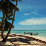 Saona Island Day Trip + Lobsters Included - What Travelers Say: Authentic Insights