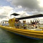 Saona Island Day Trip with Lunch and Open Bar at Punta Cana - The Value of This Trip