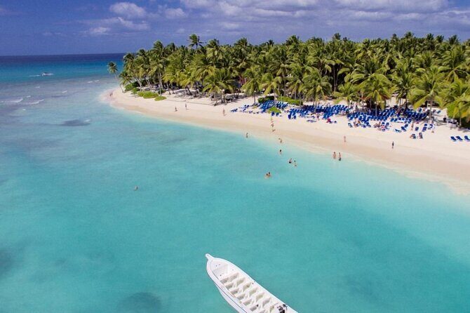 Saona Island Day trip with lunch and transport included. - The Practical Side: What You Need to Know