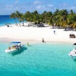 Saona Island Day Trip with Lunch, Transportation and Drinks - The Itinerary: What to Expect