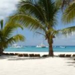 Saona Island: Exclusive Tour with Lunch - Detailed Breakdown of the Itinerary