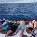 Saona Island Excursion by Catamaran and Speedboat (Full Day) - Practical Details and Value