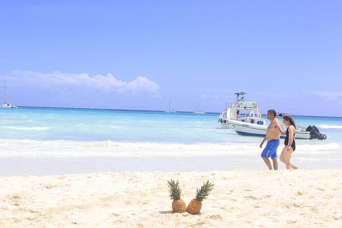 Saona Island Excursion From Punta Cana - The Price and Its Value