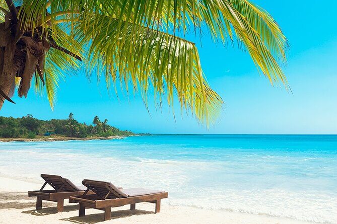 Saona Island From Punta Cana - Why This Tour Offers Value