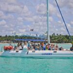 Saona Island Full Day From Punta Cana - Authentic Experiences and Practical Tips