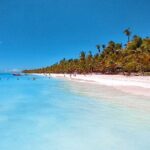 Saona Island Full-Day Tour from Boca Chica - What Makes This Tour Stand Out?