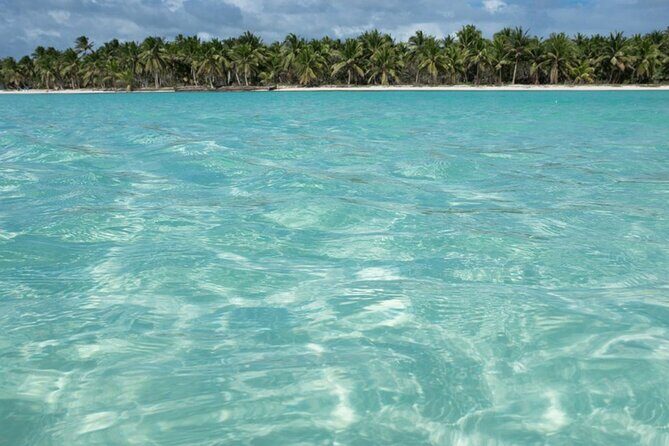 Saona Island Full-Day Tour from Boca Chica with Pickup - The Speedboat Experience: A Quick, Exciting Ride