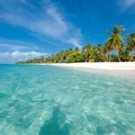 Saona Island Full-Day Tour from Punta Cana Bayahibe All Inclusive - Who Will Enjoy This Tour?