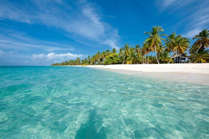 Saona Island Full-Day Tour from Punta Cana Bayahibe All Inclusive - Who Will Enjoy This Tour?