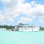 Saona Island Full-Day Tour from Santo Domingo - Practical Considerations and Potential Drawbacks