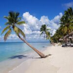 Saona Island Full-Day Tour from Santo Domingo with Pickup - Key Points