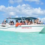 Saona Island Full Day Tour Lunch and Transportation Included - Who Should Consider This Tour?