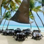 Saona Island Full Day Tour with Buffet Lunch, Paella, & Open Bar - Saona Island: The Main Attraction