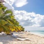 Saona Island Full-Day Tour with Lunch from Punta Cana - Authentic Experiences: What Travelers Say