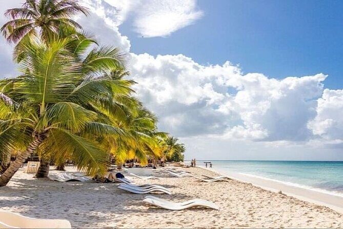 Saona Island Full-Day Tour with Lunch from Punta Cana - Authentic Experiences: What Travelers Say