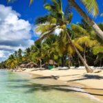 Saona Island: Full-Day Tour with Snorkeling and Lunch - The Experience: What Travelers Say