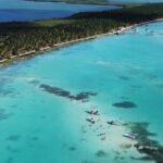 Saona Island, memorable all-inclusive experience, from Santo Domingo. - Analyzing the Pricing and Overall Value