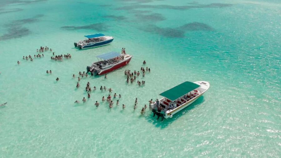 Saona Island Private: +10 People Catamarán - Transportation, Duration, and Group Size