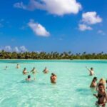 Saona Island: Relaxation Day Trip with Open Bar - The Highlights of the Itinerary