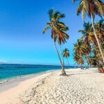 SAONA ISLAND - Rhythm, Rum & Radiant Beaches - PUNTA CANA - Authenticity & Traveler Feedback