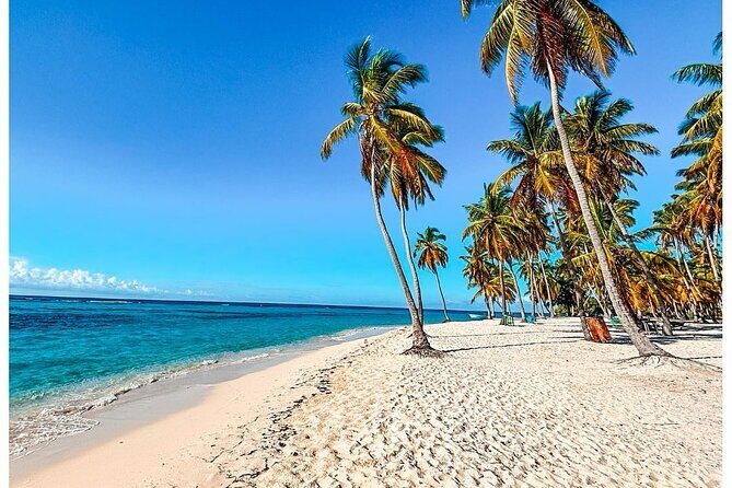 SAONA ISLAND - Rhythm, Rum & Radiant Beaches - PUNTA CANA - Authenticity & Traveler Feedback