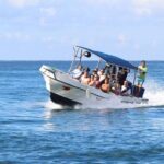 Saona Island Sailing Tour - All Inclusive - Authentic Traveler Perspectives