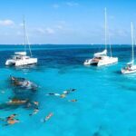 Saona Island Small Group Full Day Tour Whit Lunch and Drinks - Activities and Group Dynamics