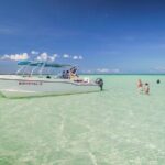 Saona Island Summer - The Practical Side: Logistics and Value