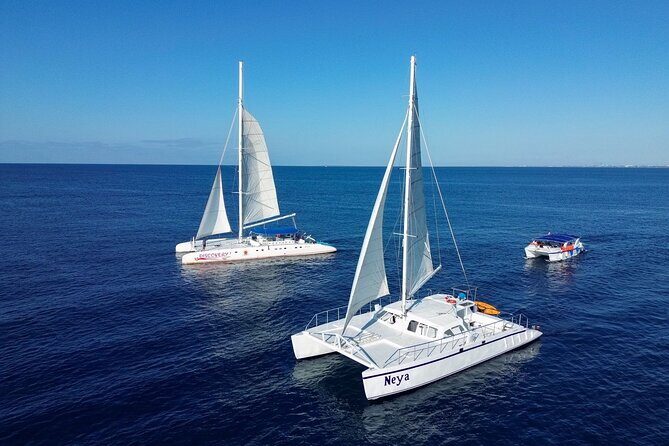 Saona Island Tour - Who Should Consider This Tour?