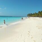 Saona Island tour: All buffet, speedboat catamaran - Who Is This Tour Best For?