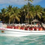 Saona Island Tour by Catamaran & Speedboat  Punta Cana - The Experience from a Traveler’s Perspective