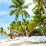 Saona Island Tour Catamaran Buffet Lunch & Full Day Trip - The Value Proposition