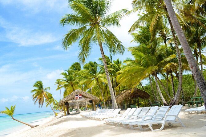 Saona Island Tour Catamaran Buffet Lunch & Full Day Trip - The Value Proposition