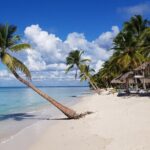 Saona Island Tour from Juan Dolio with pickup - The Sum Up: Who Should Consider This Tour?