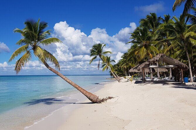 Saona Island Tour from Juan Dolio with pickup - The Sum Up: Who Should Consider This Tour?