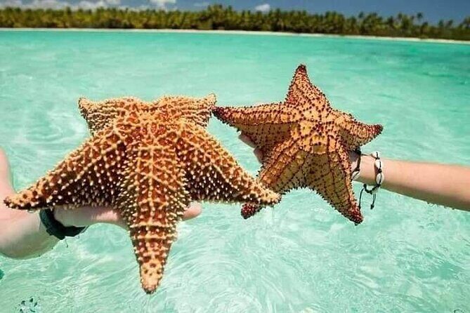 Saona Island Tour from Punta Cana All Inclusive - Detailed Breakdown of the Tour Experience