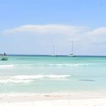 Saona Island Tour from Santo Domingo with Lunch - Additional Details: Transportation, Group Size, and Value