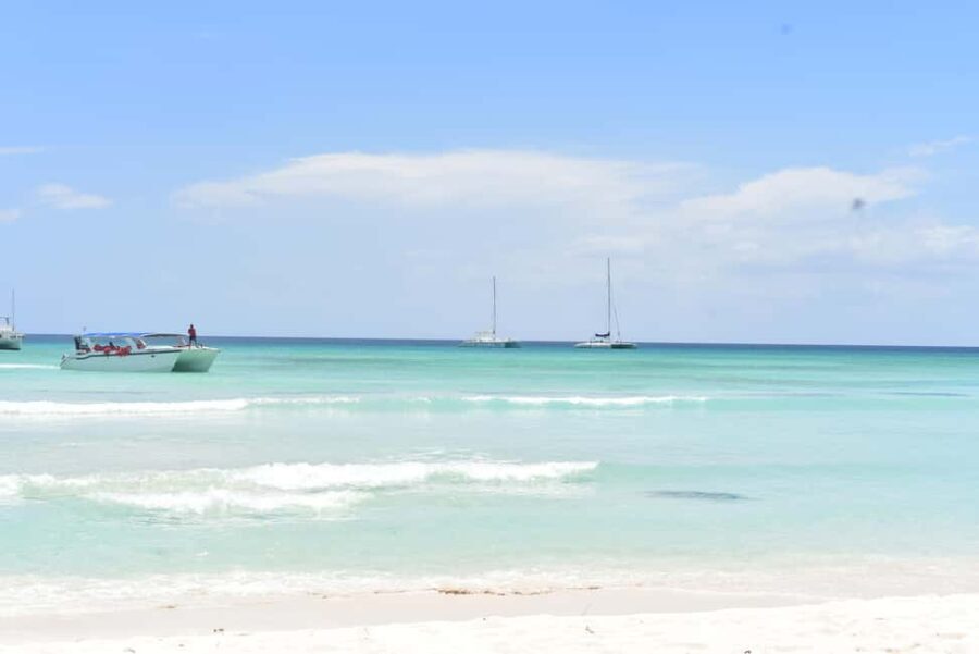 Saona Island Tour from Santo Domingo with Lunch - Additional Details: Transportation, Group Size, and Value