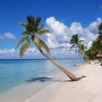 Saona Island: Tour with Lunch and Drinks - What’s Included and What to Know