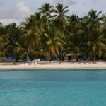Saona Island Unforgettable Experience. !!! .. - Who is This Tour Best For?