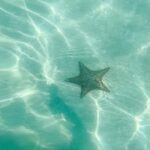 Saona Island VIP: 4 Beaches , Mano Juan & Canto de la Playa - What We Loved (and What to Consider)