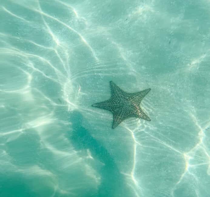 Saona Island VIP: 4 Beaches , Mano Juan & Canto de la Playa - What We Loved (and What to Consider)